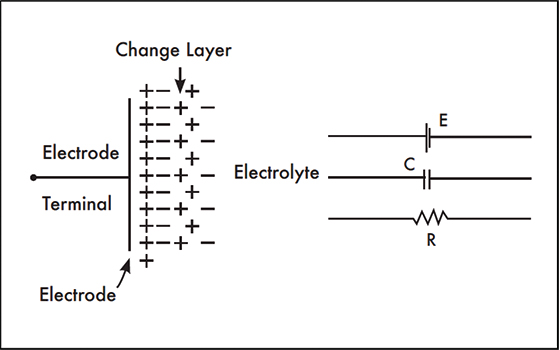Electrolyte Function - Thorp Institute