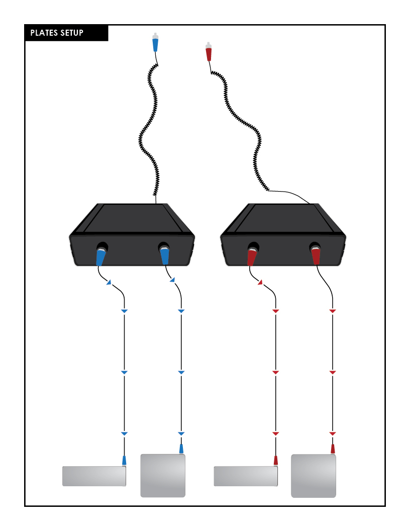 Plates - Thorp Institute